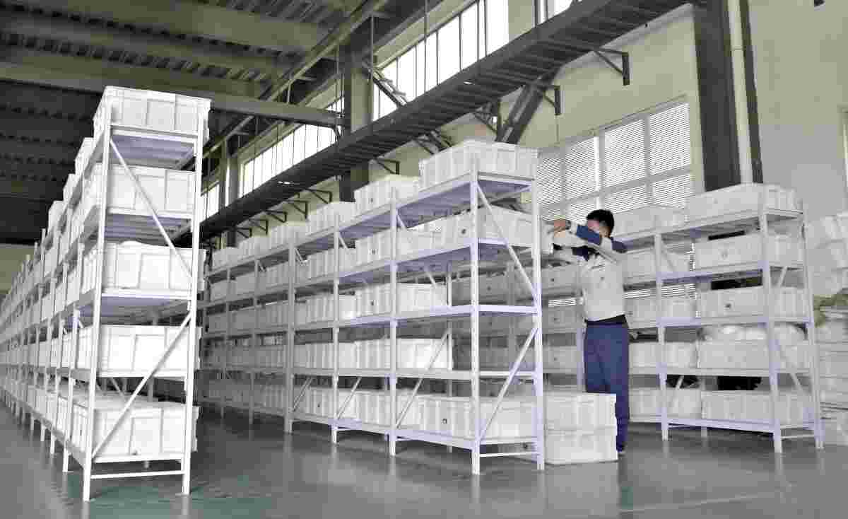 85 Type Alumina PCW Fiber- Top China Alumina Fiber Supplier - CHAL